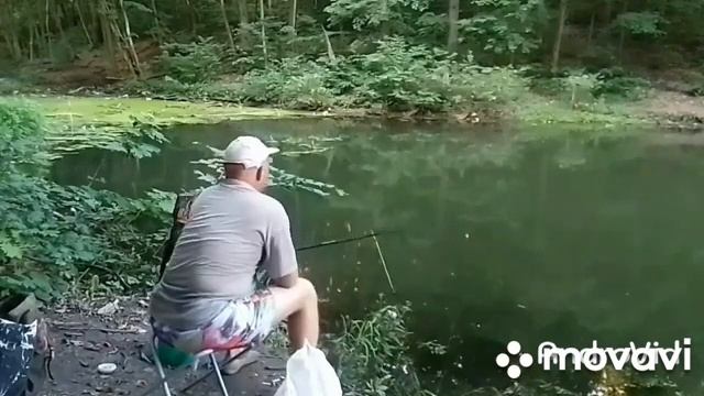 Прудовая ловля плотвы на перловку в жуткую жару.