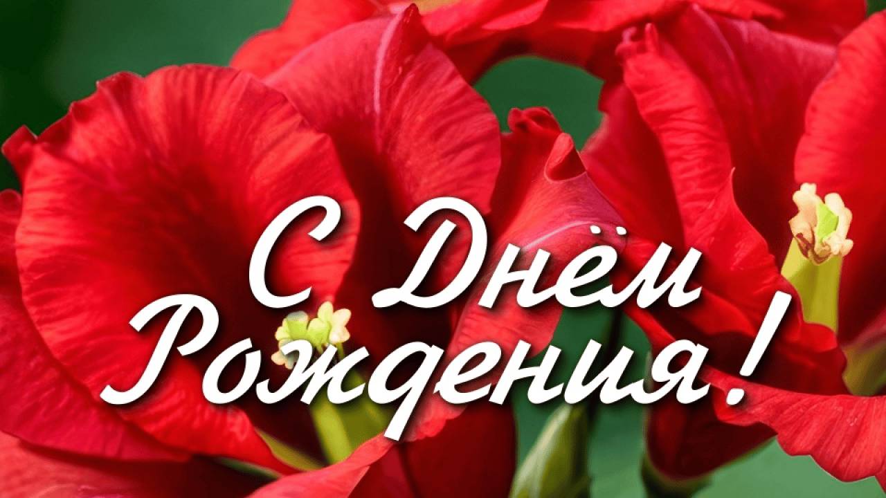 С Днём Рождения, Женщина! 💐 Самые Красивые Поздравления, Открытки и Душевные Слова в Одном Видео!