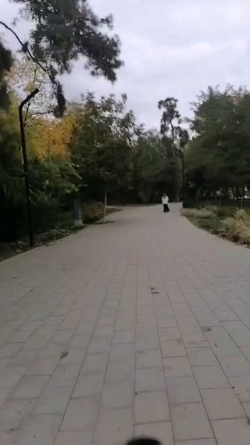 Велосипед и теплая осень на Николаевском бульваре в Краснодаре.