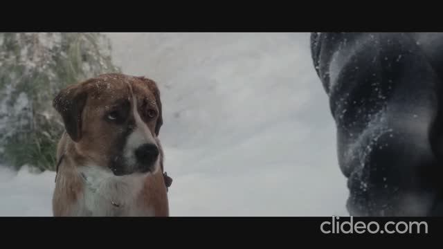 DJ EV А Вертинский - О моей собаке