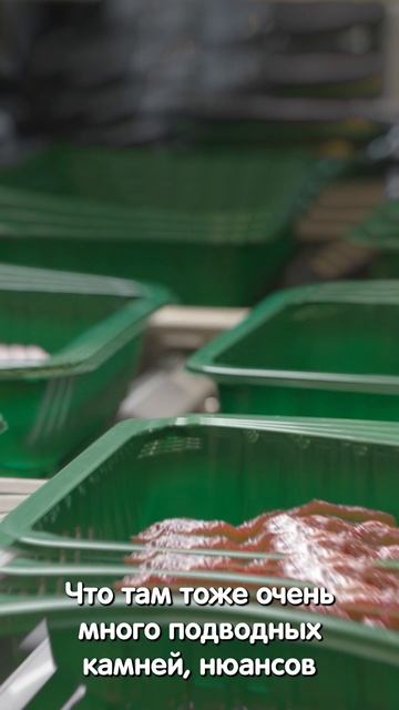 Интервью с птицефабрикой Ярославский бройлер