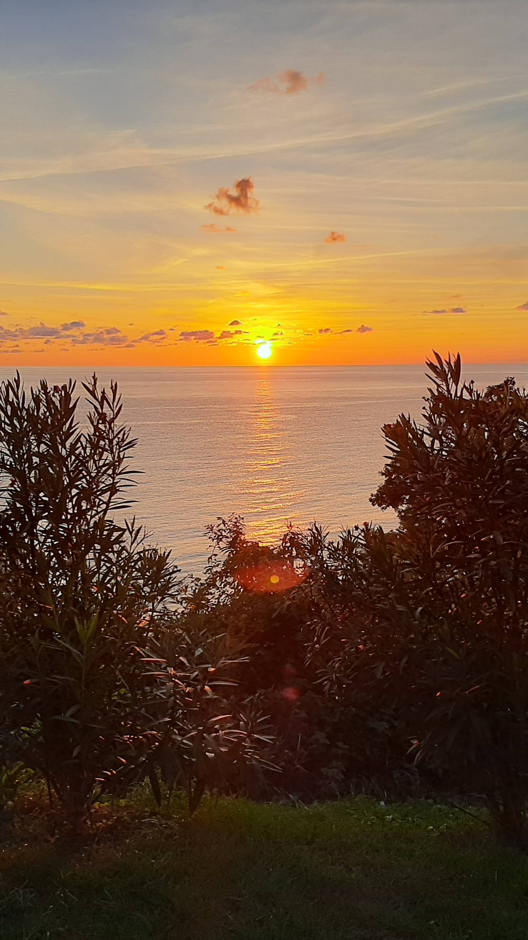 Золотые Облака - Иванушки International🎵🌅☁️🌊