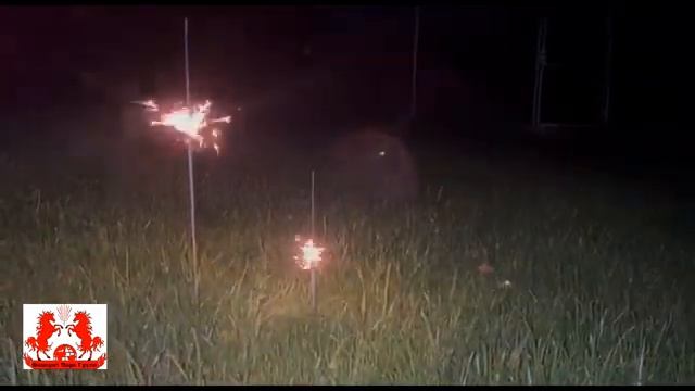 Бенгальские огни