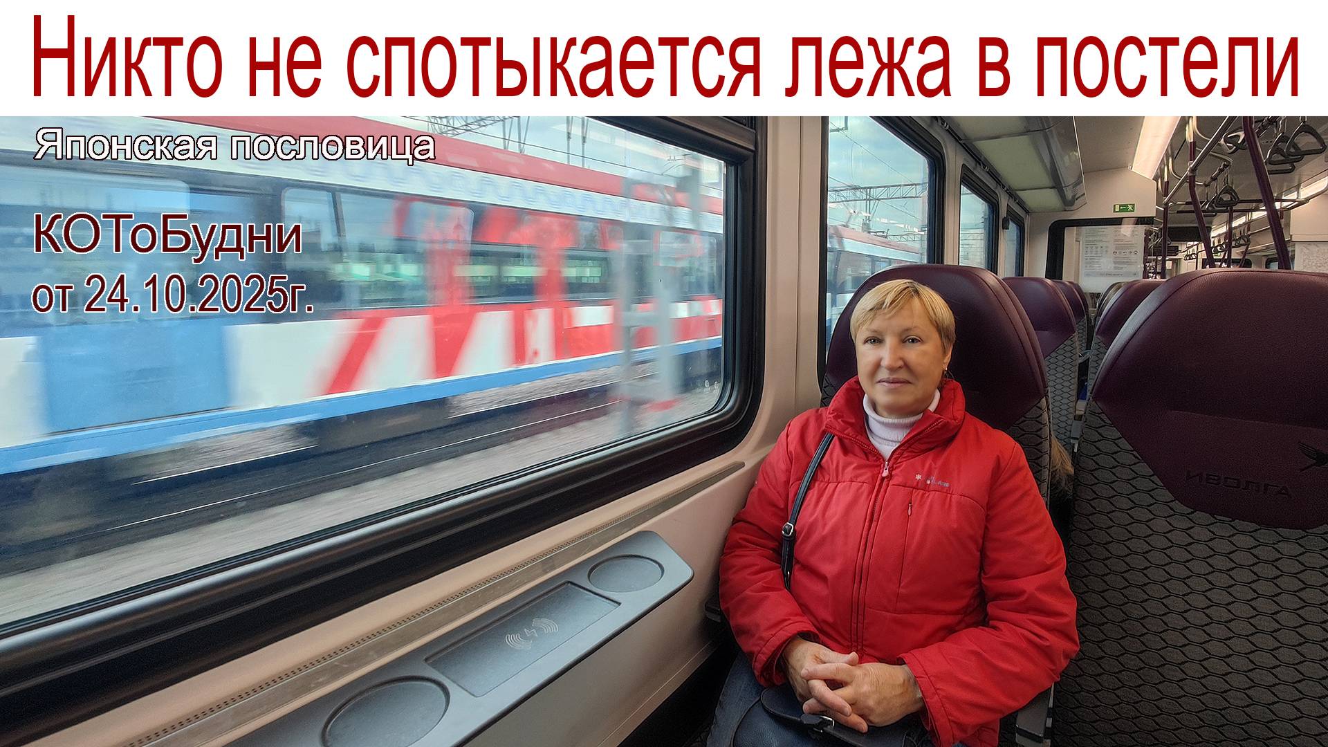 Когда движешься к своей мечте, то и весь Мир движется к тебе на встречу или КОТоБудни от 24.10.2025