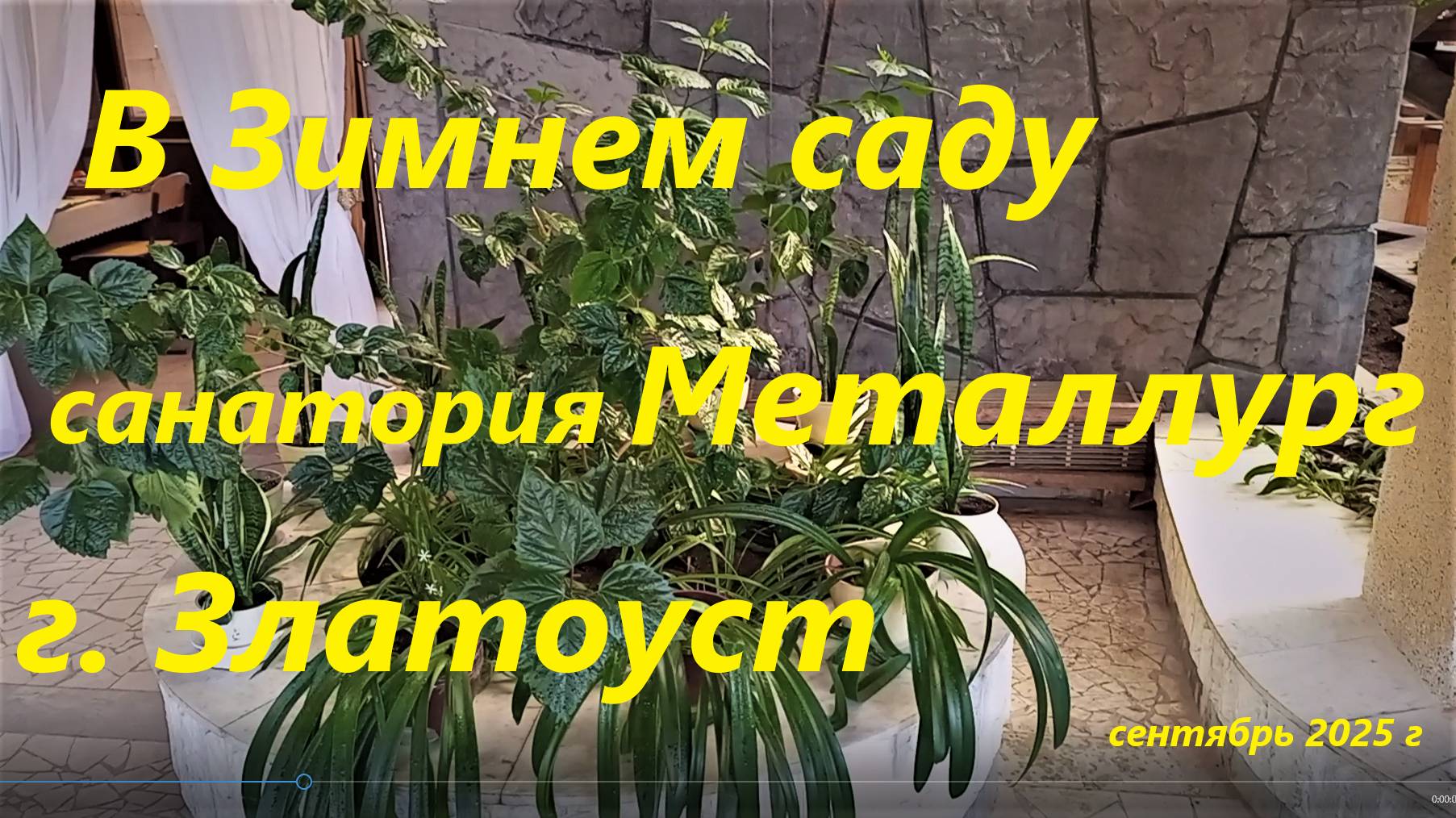 Златоуст. В зимнем саду санатория Металлург, сентябрь 2025 г.