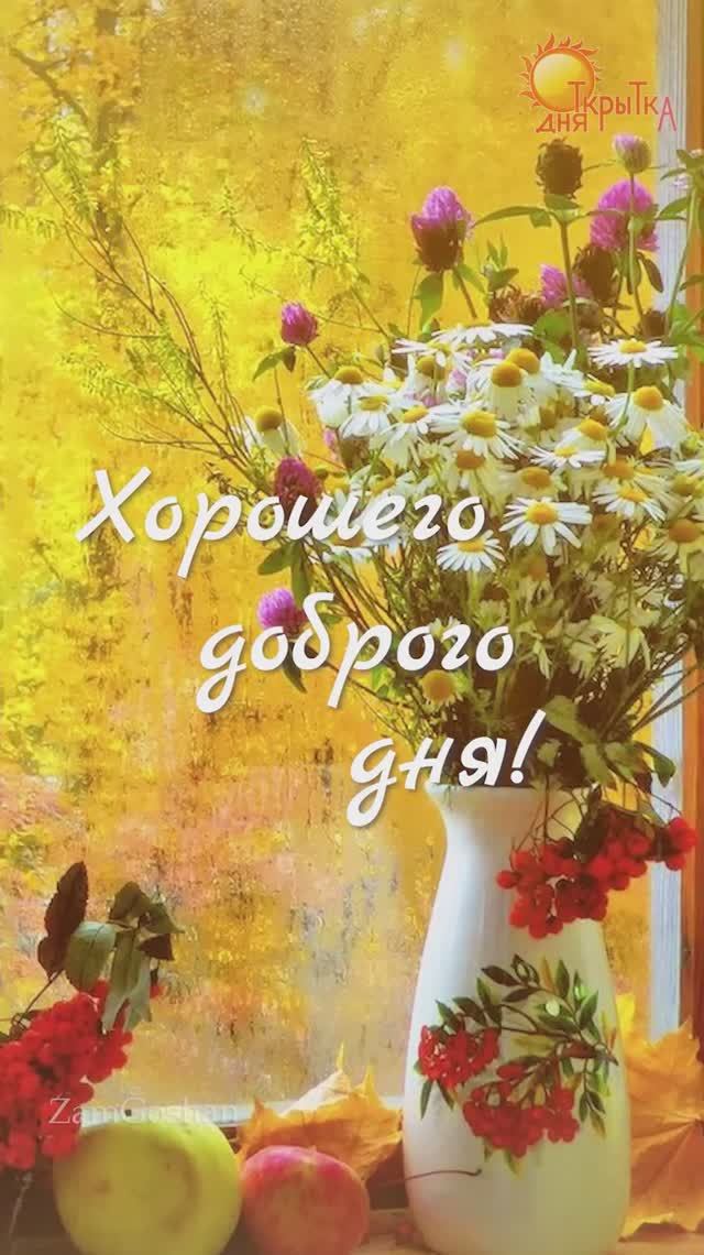 Добрый день! Осенняя открытка с теплом и пожеланиями | Видео-открытка