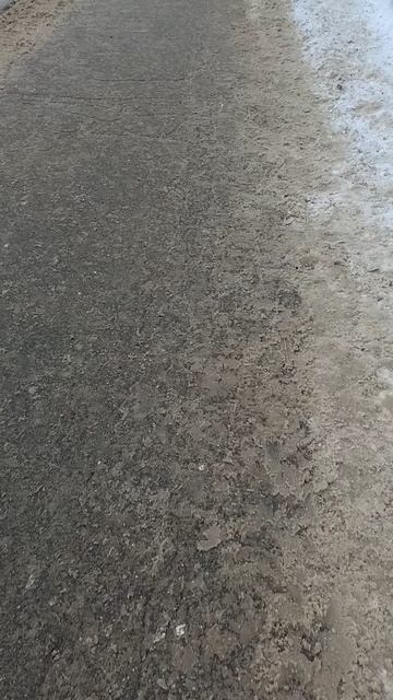 №176. ул. Белинского. 28 февраля 2025 г., 15:02:47. VID_20250228_150034273