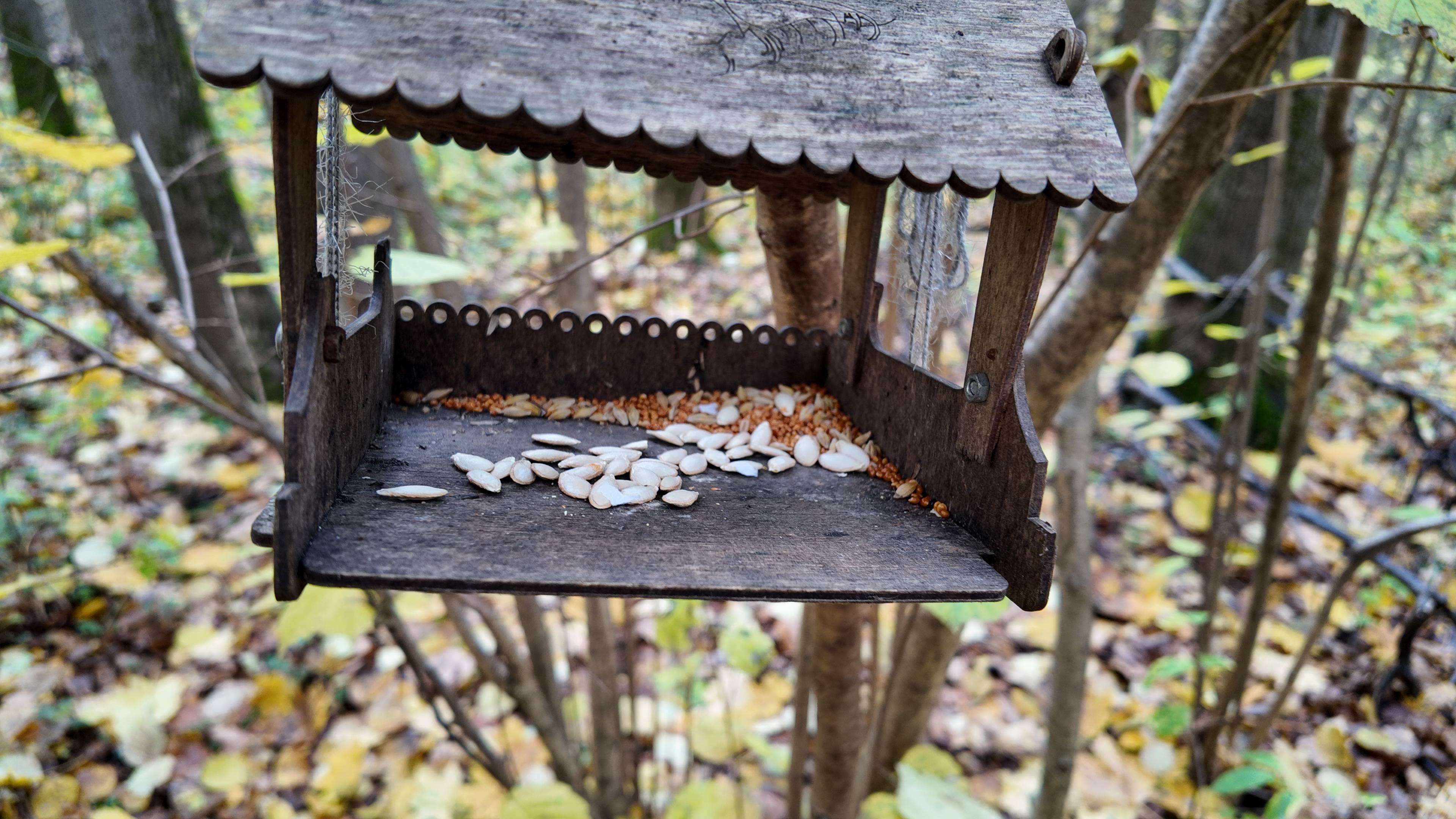 Долгие пруды 2025-10-23