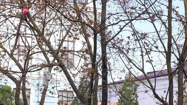 Жили-были-на-Дону 25.10.2025