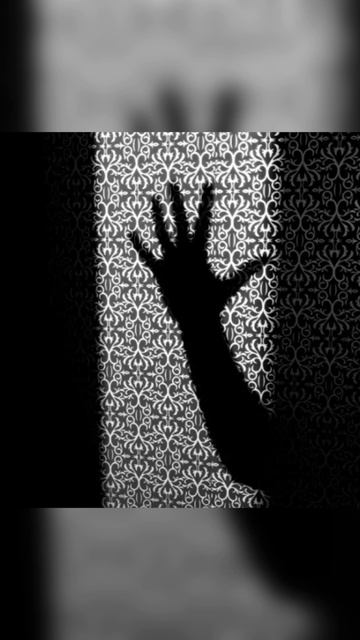 ФотоЭксперимент 11: чёрный цвет