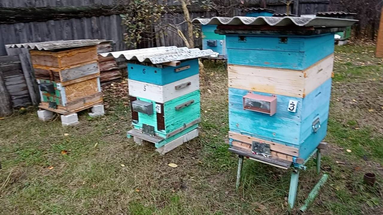 Пчёлы к зимовке на улице - ГОТОВЫ (20.10.2025 года)