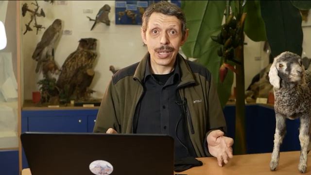 Почему овцы - пример послушания в Библии - Сергей Хрибар о Божьем творении