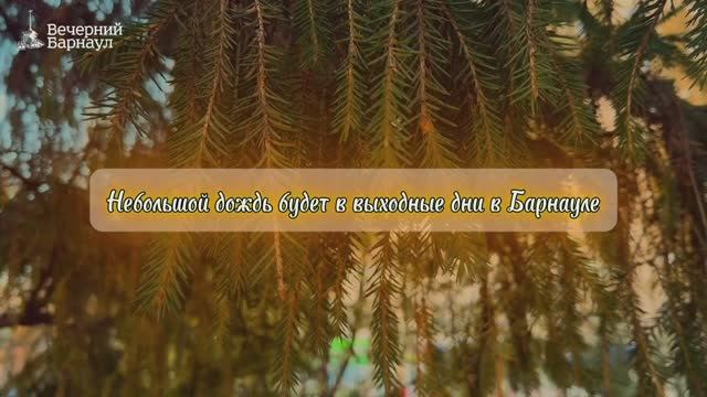 Небольшой дождь прогнозируется на территории Барнаула в последние выходные октября