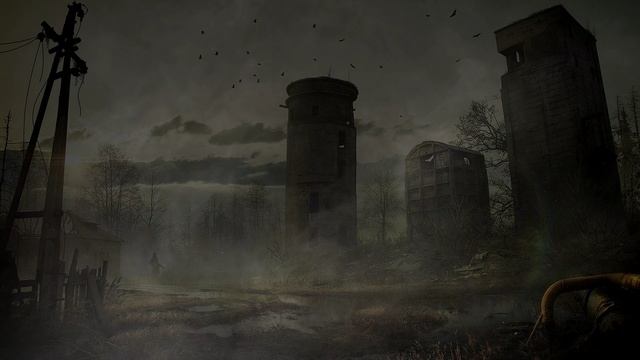 11 - Male or Female - Rain Yellow (Anfermond)