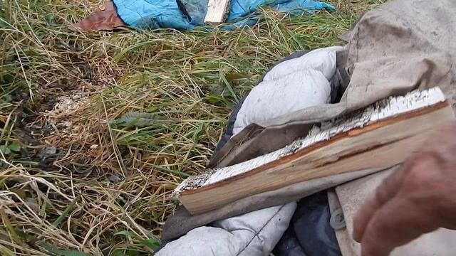 Осенние работы, подготовка к зиме.