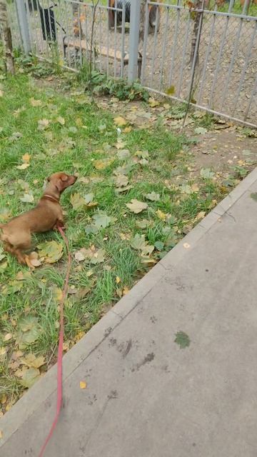 Вот это сюрприз