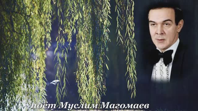 КАКАЯ НОЧЬ... М.Магомаев