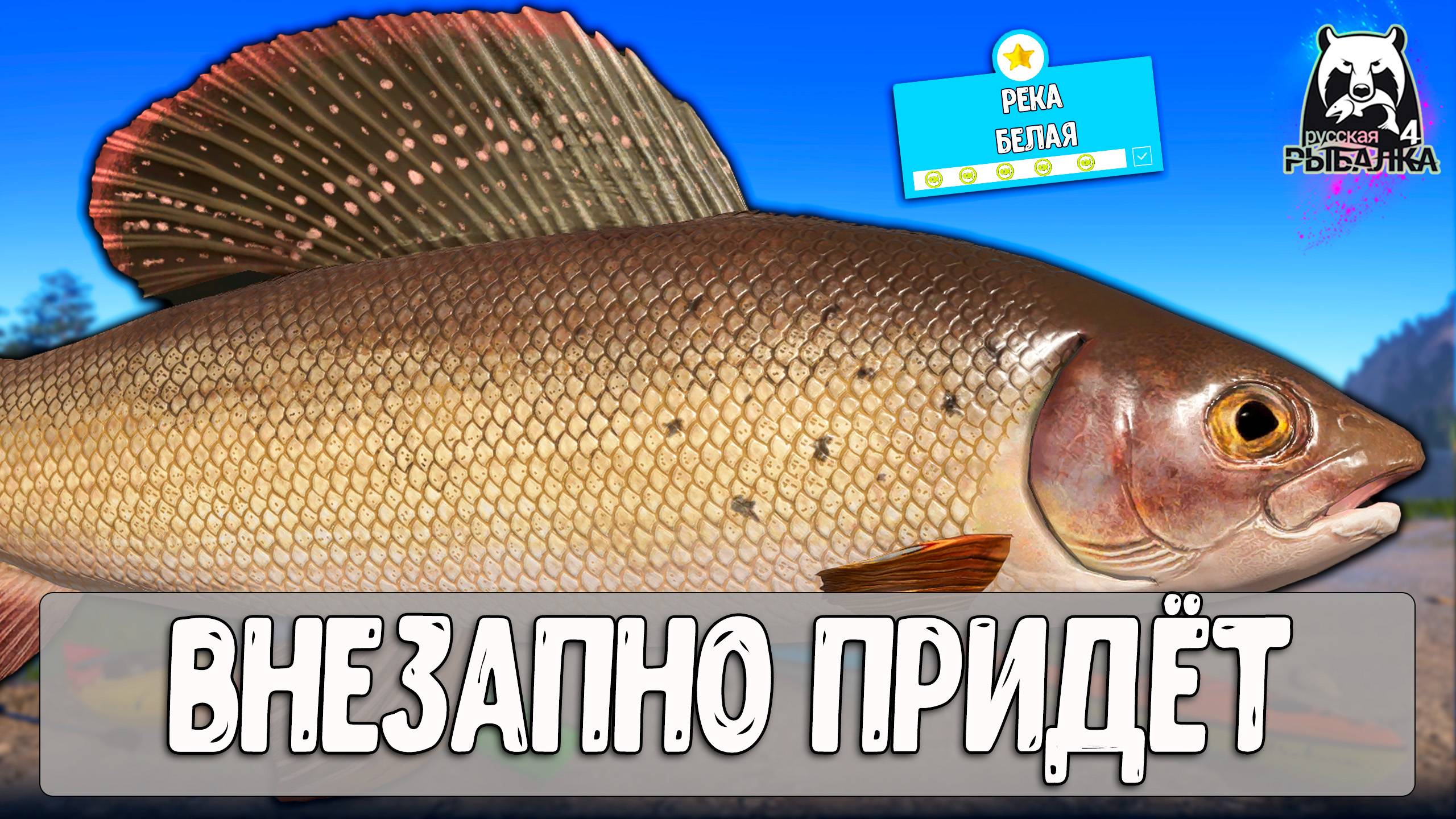 Просто нужно время и когда-нибудь тебя порадует #рр4