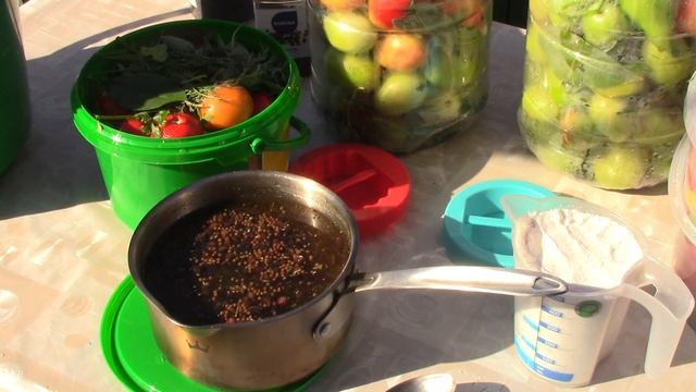 Волгоград 2025 г. Октябрь. Солим томаты(помидоры)