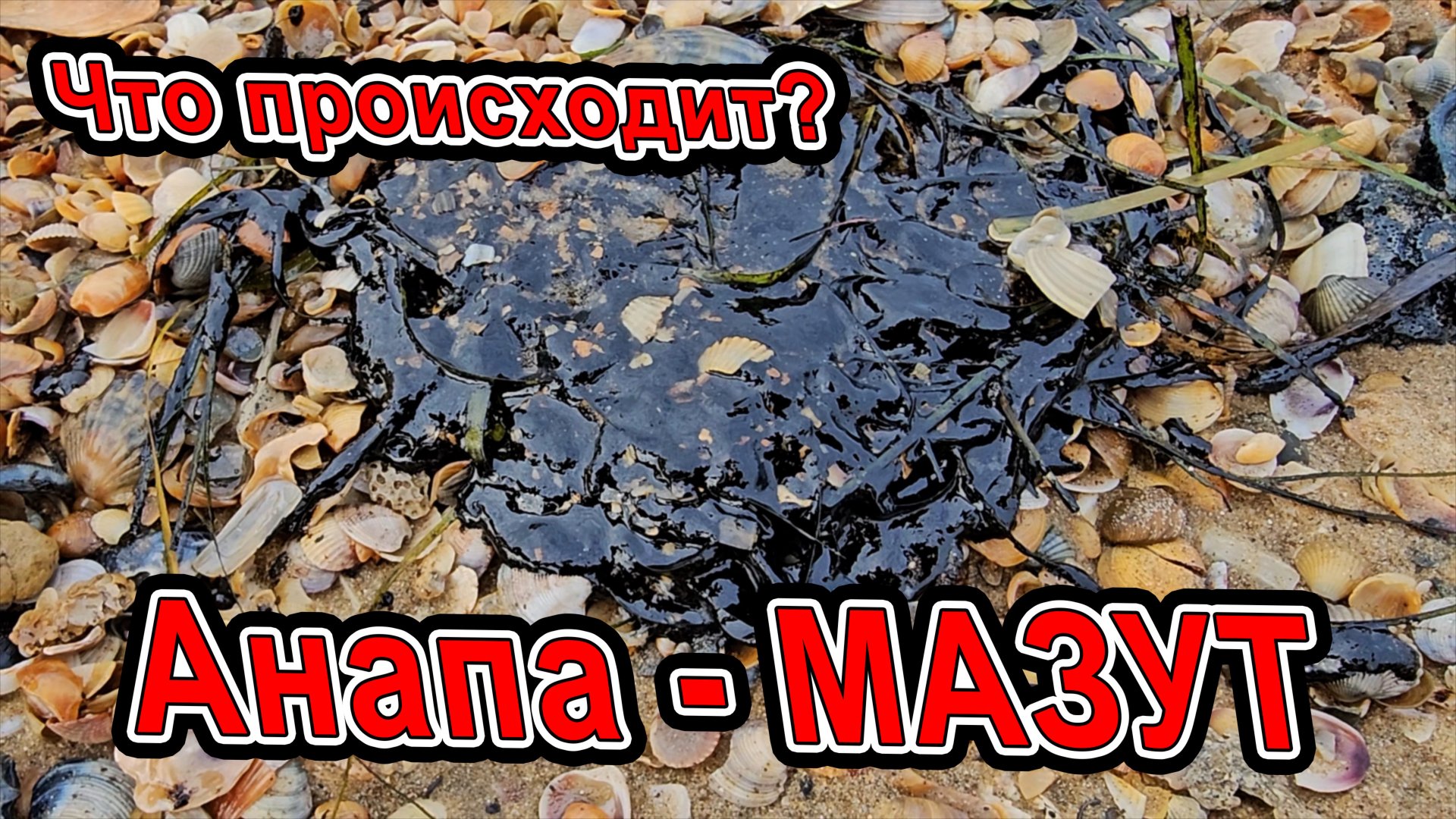 #Анапа ОПЯТЬ МАЗУТ на пляже! АПОКАЛИПСИС ПОВТОРЯЕТСЯ?