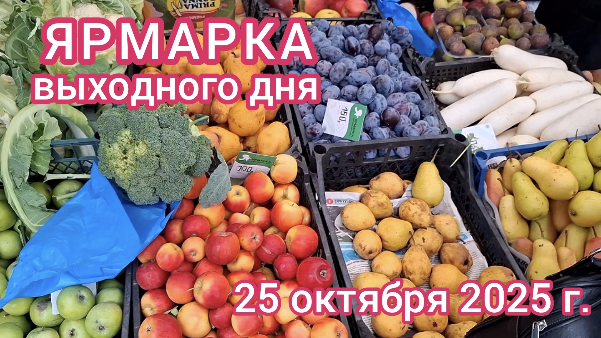 Краснодар - Ярмарка выходного дня на ул. Одесская - цены на продукты - 25 октября 2025 г.