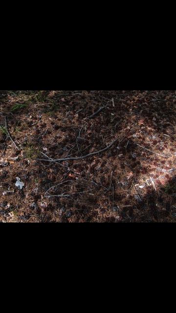 Canon PowerShot sx410is