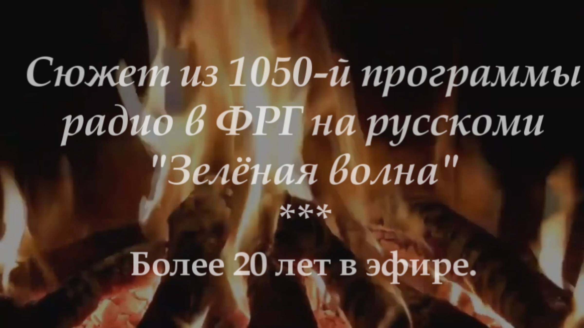 Вайдель Алиса. Сюжет из 1050-й программы радио в ФРГ на русскоми"Зелёная волна" не #луафАсра