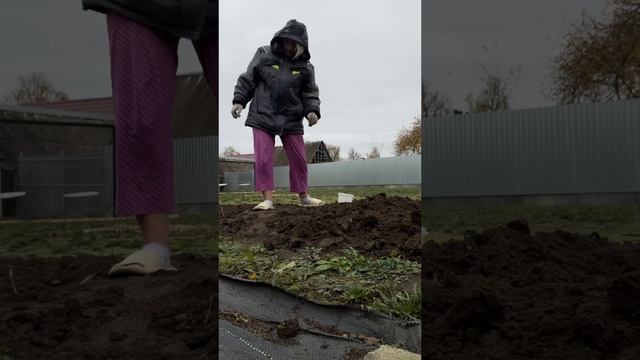 Жизнь в деревне