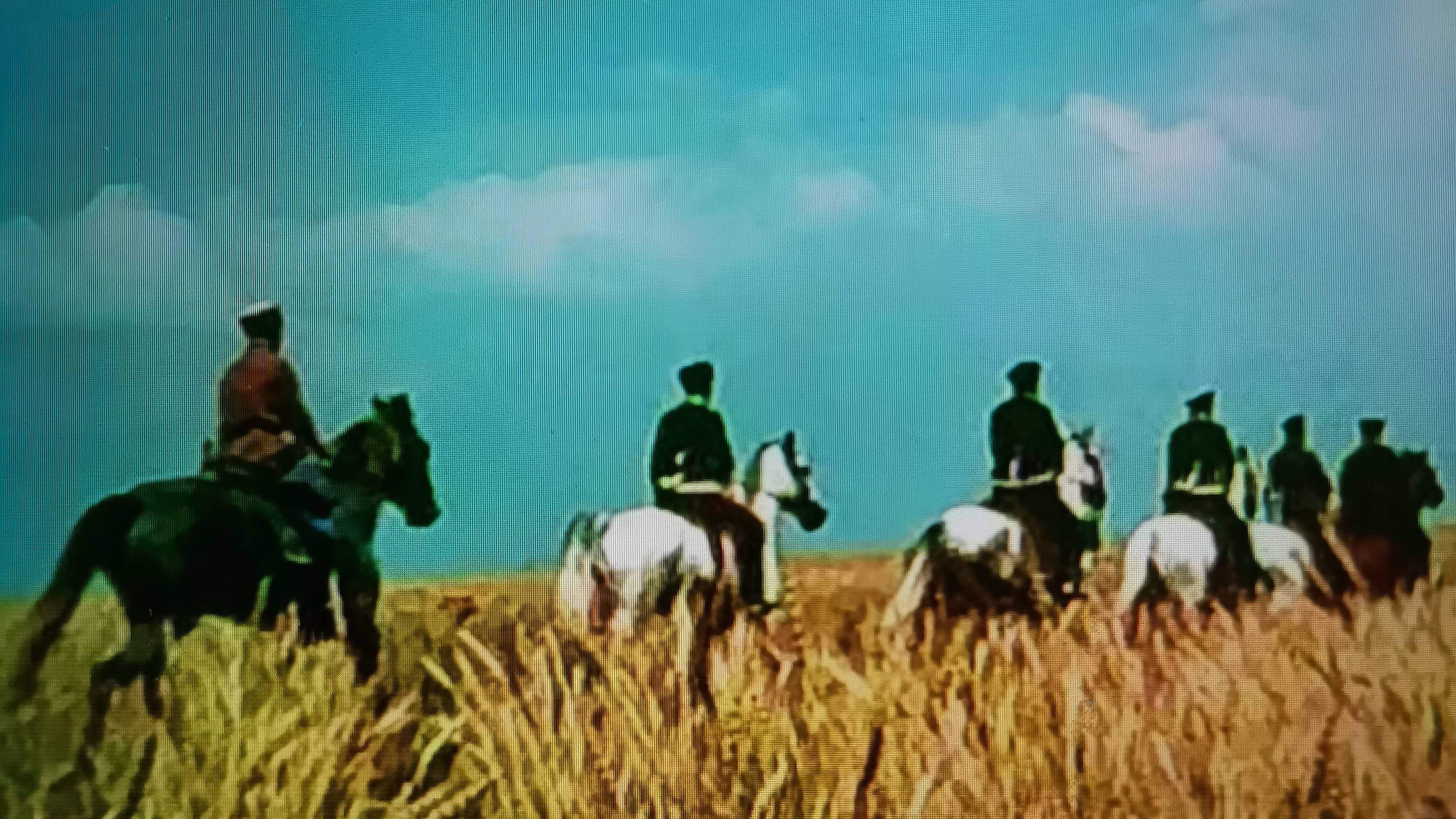 Полюшко-поле