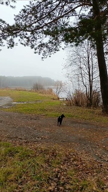 Мыс Гамаюн (Екатеринбург)