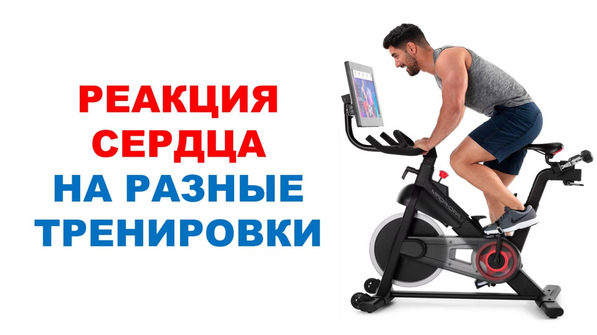 5 разных тренировок выносливости / Влияние на сердце, параметры крови и мышц