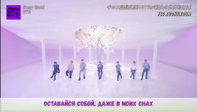 ИНТЕРВЬЮ_ВЫСТУПЛЕНИЕ СТЭЙГОЛД [RUS SUB FSG Budeuleoum]