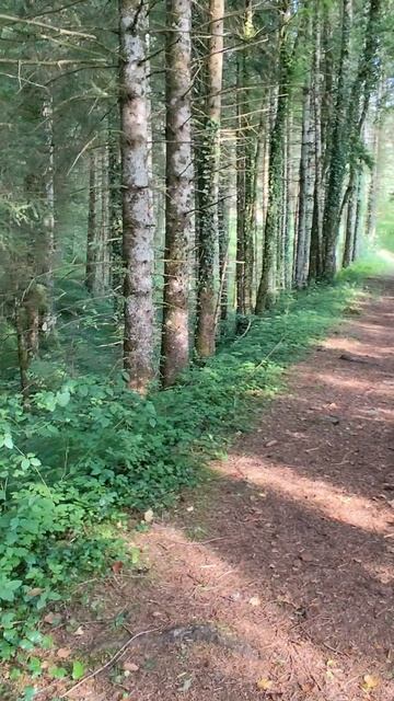 Что за СООРУЖЕНИЕ в Альпах?