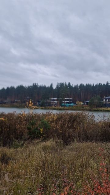 Восторг от озера! Показы домов в КП Воронежской области.