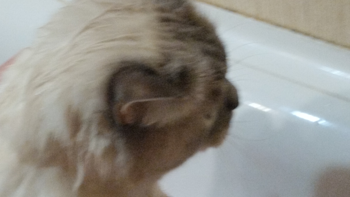 Что это за растения?/Plants vs zombies fusion mod