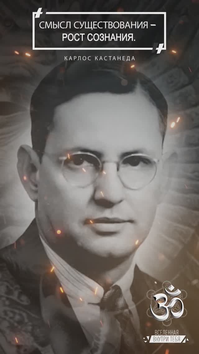 Карлос Кастанеда - Ты ищешь только отражения собственных идей