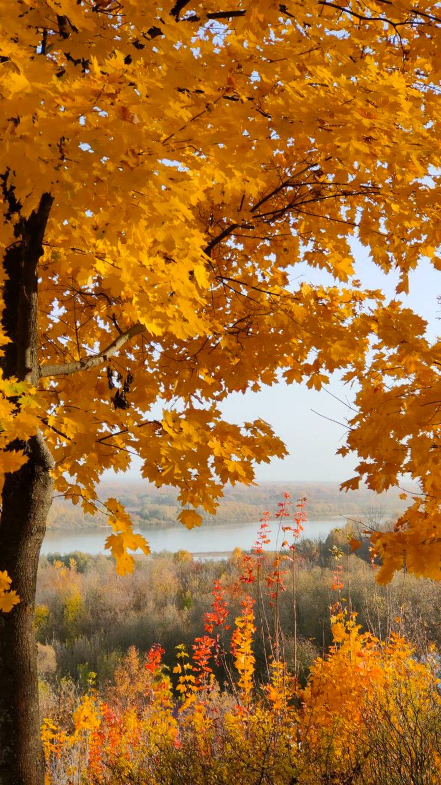 Золотая осень в Елатьме