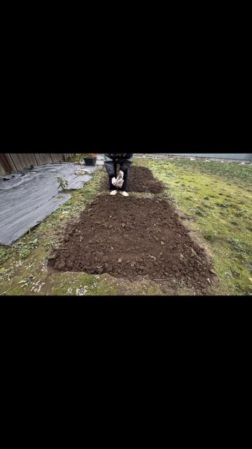 Деревенская жизнь. Начинаю снимать про свою жизнь в деревне.