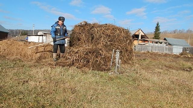 Осенние работы, малину,  ботву  на зимовку