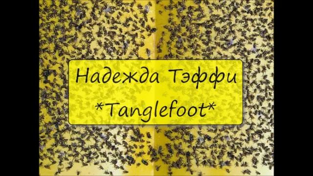 НАДЕЖДА ТЭФФИ - "TANGLEFOOT"