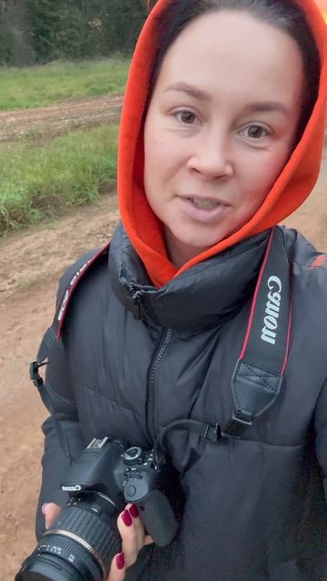 Деревенский закат