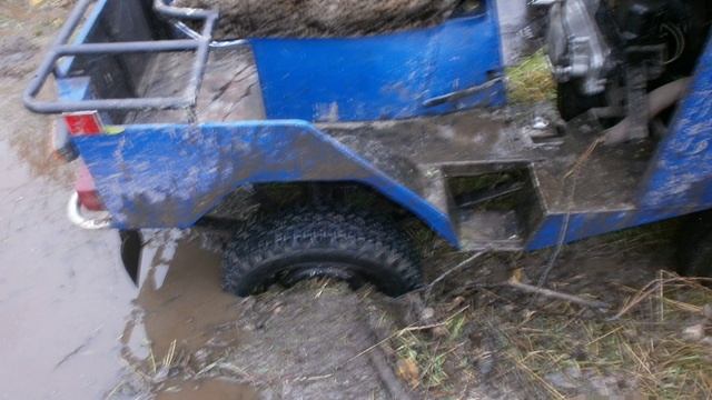 Год из жизни квадрика.