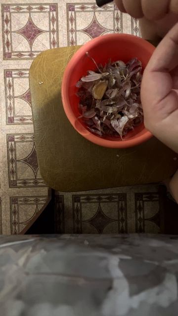 Жизнь в деревне. Заготавливаем морковь на зиму. Сушим чеснок