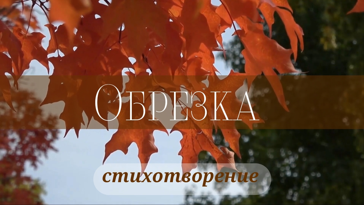 Обрезка 🍁🍂 | стихи христианские