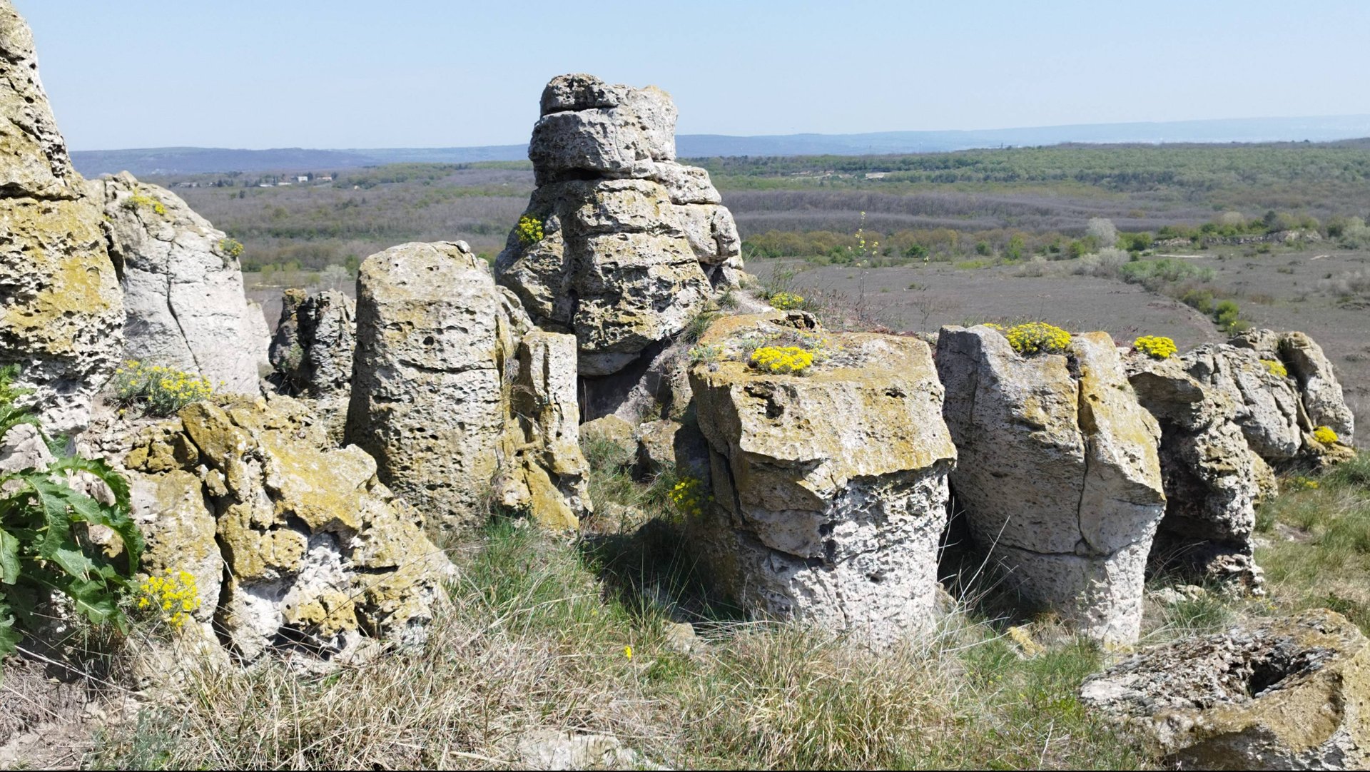 Дикилиташ или Каменный лес