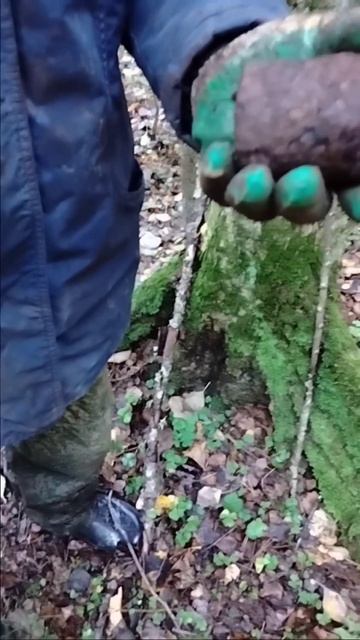 граната ргд 33