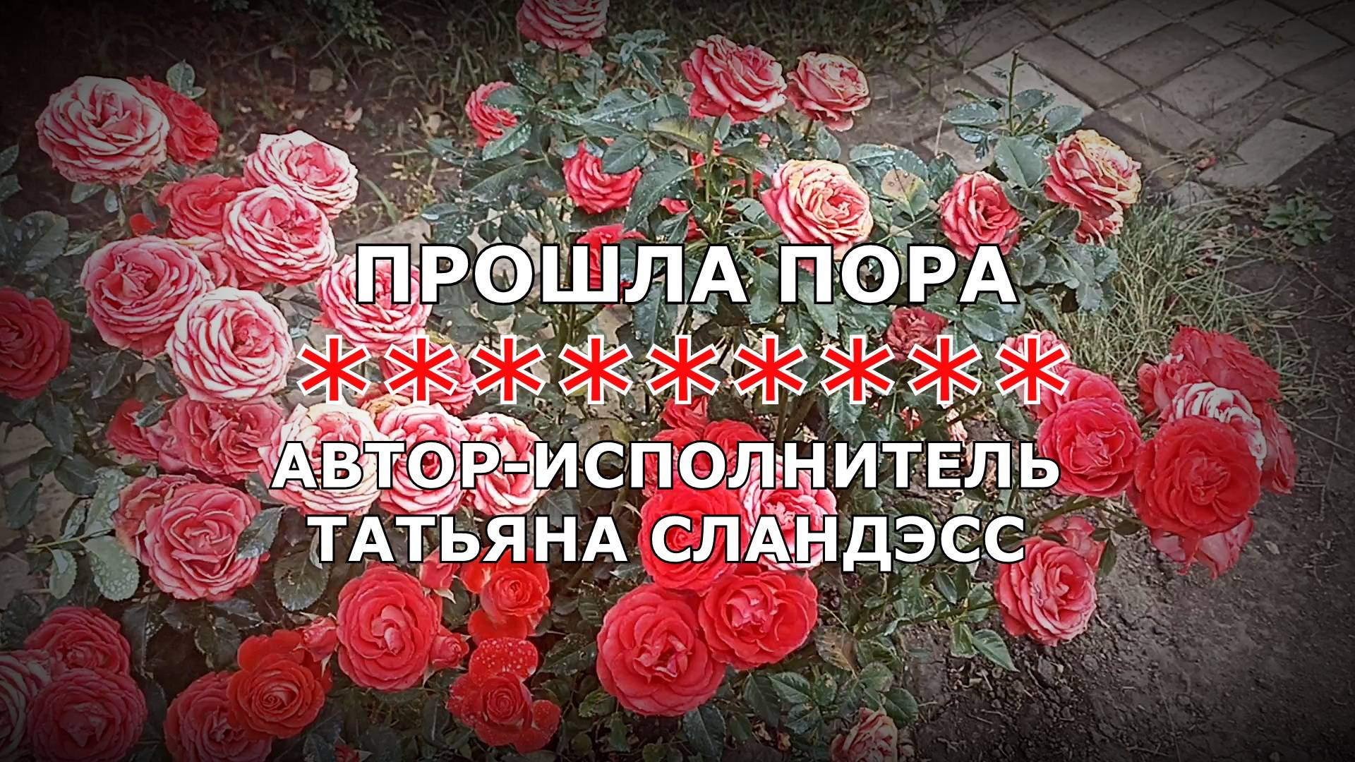 Татьяна Сландэсс - Прошла пора |авторская песня из альбома " Не надо мешать"