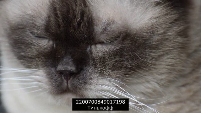 Вас накажут за незаконное получение штрафа