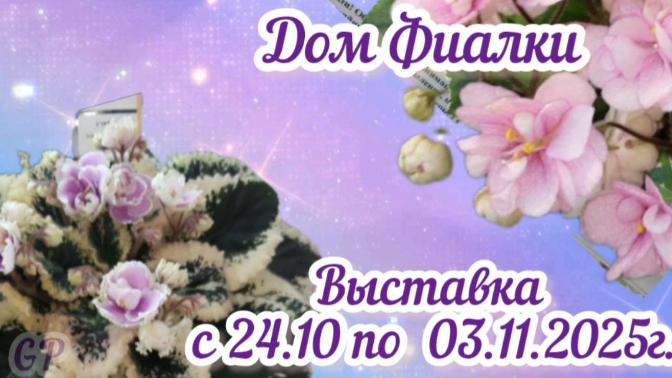 ФИАЛКИ - 2025. Выставка с 24.10 по 03.11.2025г. в Доме ФИАЛКИ (Москва). Группа "Регионы России"
