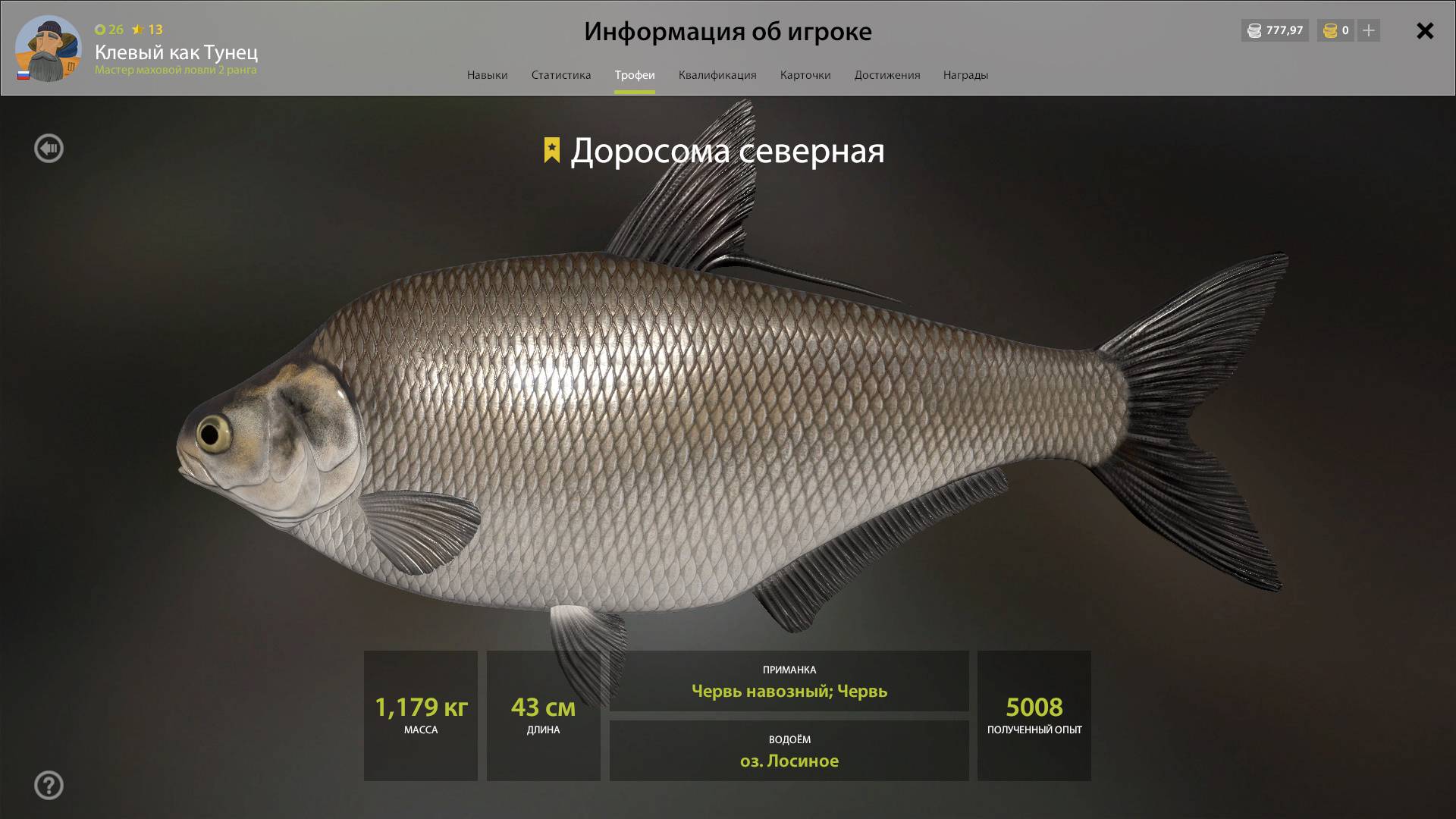 ДОРОСОМА СЕВЕРНАЯ ТРОФЕЙ!!!ЛОСИНОЕ ОЗЕРО - РУССКАЯ РЫБАЛКА 4